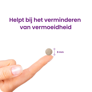 IJzertabletten bestellen? | Flinndal IJzer, uitstekend opneembaar!